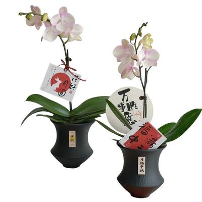 桌面简约新中式民宿诧寂风花盆