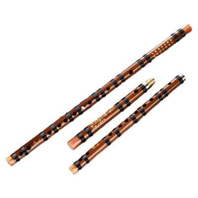 专业笛子初学成人乐器演奏级入门