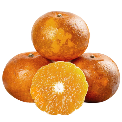 巨丑但巨甜的橘子，广西乌柑