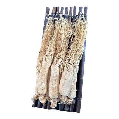 特大人参长白山山参500g10支