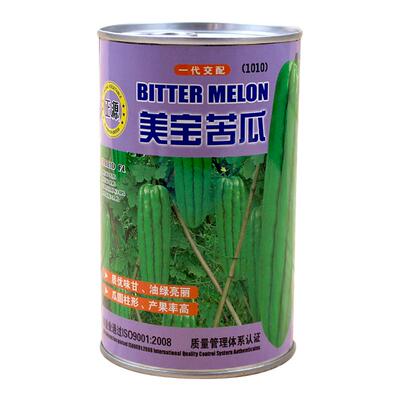 杂交高产四季苦瓜种子