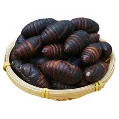 柞蚕蛹新鲜活东北特产高蛋白个大黑中二黄蝉蛹A级大茧500g包邮1斤