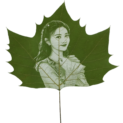 叶雕树叶照片画像定制