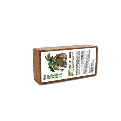 yee乌龟椰土冬眠斯里兰卡真椰砖