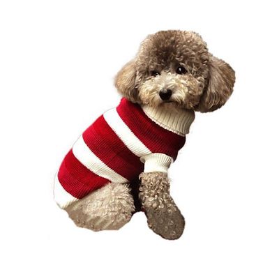 意大利毛衣泰迪冬日毛衣品质卓越