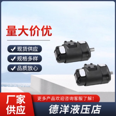 询台湾ANSON安颂超高压单联叶片液压帮浦IVP1 IVP2 IVP3 IVP4系列