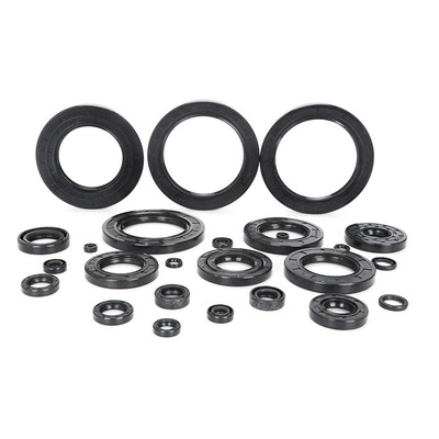 优质骨架油封密封圈丁腈橡胶