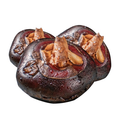 顺丰包邮广西荔浦马蹄荸荠大果新鲜地梨当季莲