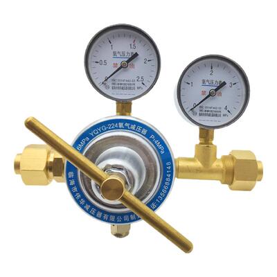 YQYG-224氧气点阀箱用减压器