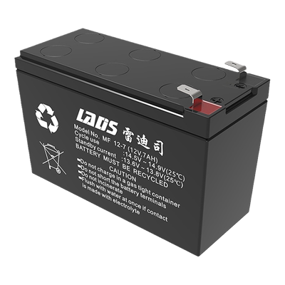 UPS不间断电源蓄电池雷迪司