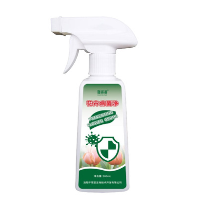 发财树黑斑病专用营养液肥料叶子长黑斑黄叶病叶斑病免稀释病菌净