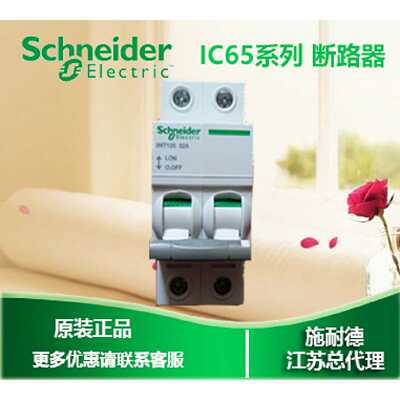 断路器ilNT隔离开关A9S682322P32A
