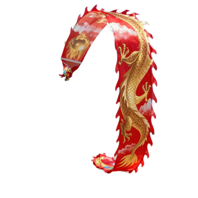 成人健身彩带龙绸布龙身手舞龙