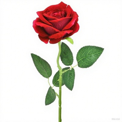 致命情人舞蹈道具嘴叼手持仿真花