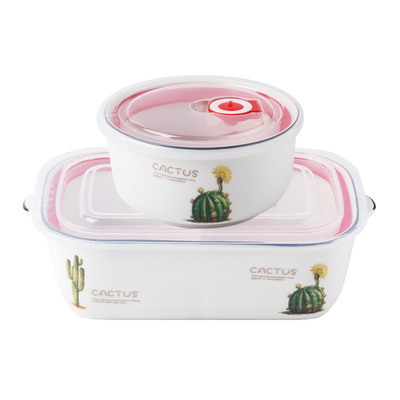 微波炉专用陶瓷分格饭盒带盖密封