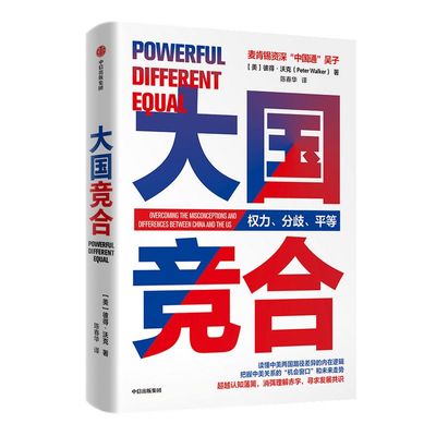 大国中美关系的新常态