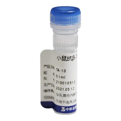 中杉 TA-10 Mouse Anti-β Tubulin (TUBB4) mAb小鼠抗β-Tubulin