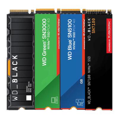 WD/西部数据 黑盘