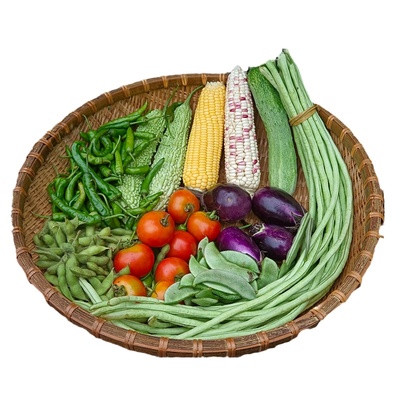 江西大山新鲜农家菜留种