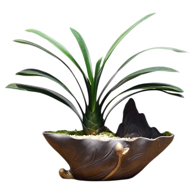 君子兰花卉客厅桌面四季