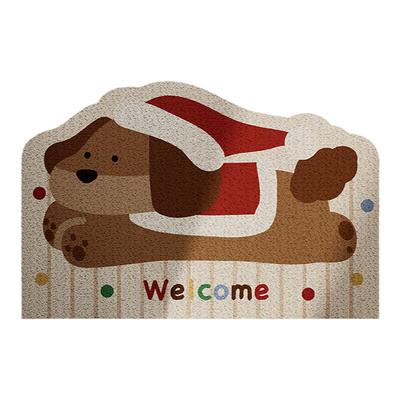 新年ins风入户地垫丝圈防滑脚垫地毯进门垫玄关大门口门外可裁剪