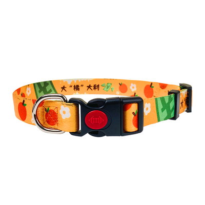 防挣脱狗狗项圈春节新款大中小犬