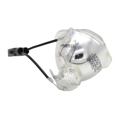 集大成适用于爱普投影机灯泡