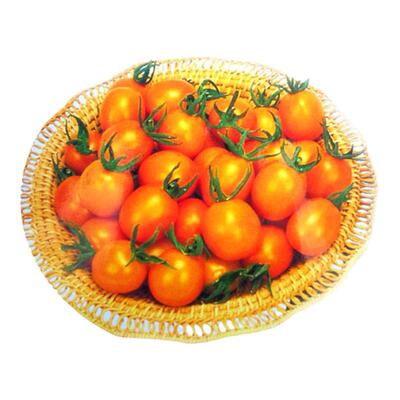 农友金珠樱桃黄色蔬果番茄种子