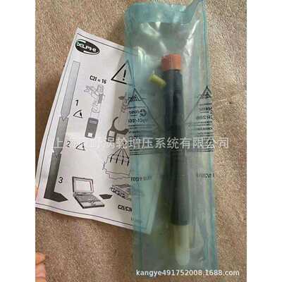 原装喷油器EJBR05201D166001137R28232251R05201D