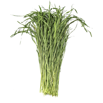 烘干兔子龙猫牧草干草小麦草