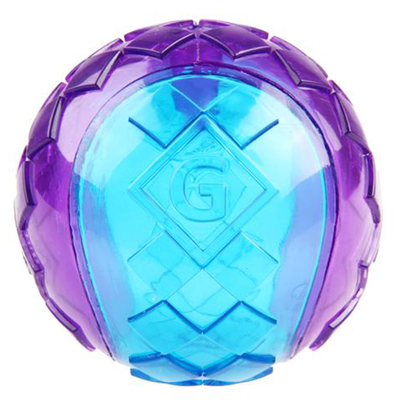 GiGwi弹力发声球 贵为ball耐咬磨牙幼犬互动寻回宠物户外狗玩具球