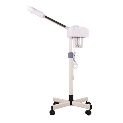 泰东正品中草药单热蒸脸面喷雾机