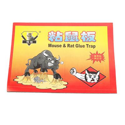 通用型老鼠贴超强力粘鼠板蟑螂蚊蝇捉胶贴黏捕灭鼠正品家用一窝端