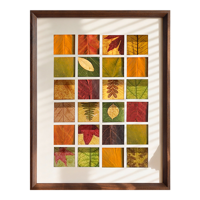 简单派收集秋天落叶标本相框
