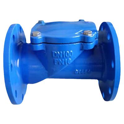 H44X-16法兰橡胶瓣止回阀旋启式球墨铸铁单向阀止逆阀管道DN50100