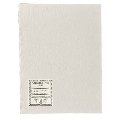 法国ARCHES阿诗水彩纸300g全棉浆质手工毛边粗糙纹中粗细纹8K16K