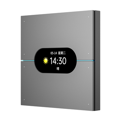 领普H2金属面板智能开关双控