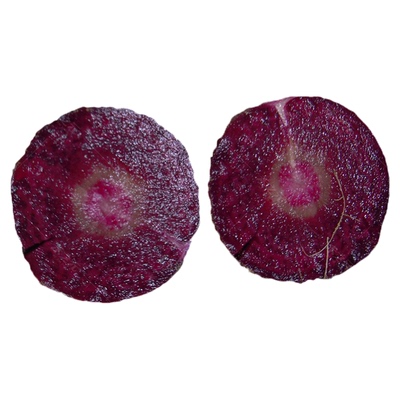 紫艳胡萝卜种子紫色水果胡萝卜