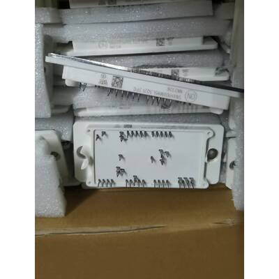 询价SNXH100M95L3Q2F2PG /都有