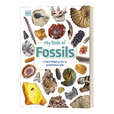 英文原版 精装 My Book of Fossils 我的化石书 精装 自然科普 恐龙知识图解百科全书 英文版 进口英语原版书籍儿童外文书