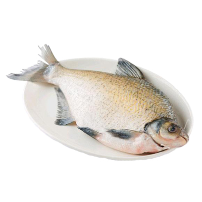 活鱼现杀净膛去鳞去腮杀后净重