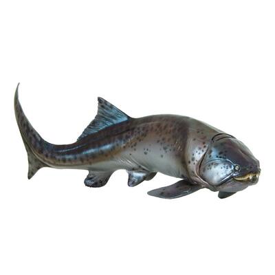 pnso恐龙大王成长陪伴扎哈邓氏鱼