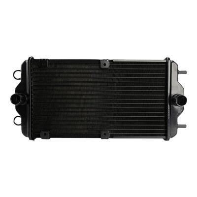 XG500StreetRodXG750水箱