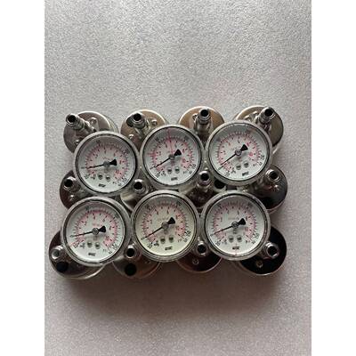 询价WISE压力表P8101F3SMQ01680