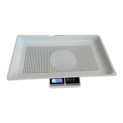 475*280不锈钢森歌304蒸盘