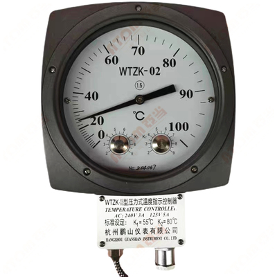 鹳山WTZK-02wtzk-03温度控制器