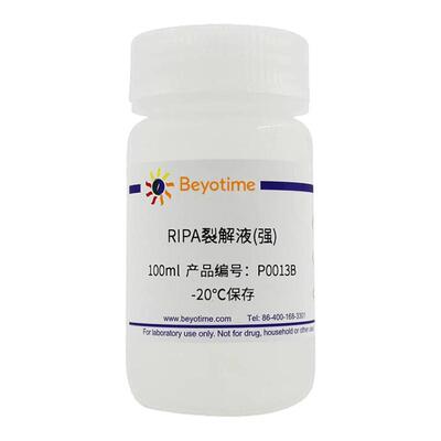 碧云天Beyotime P0013B RIPA裂解液(强) 100ml
