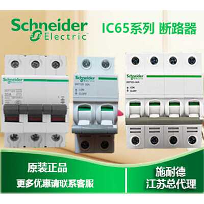 断路器ilNT隔离开关2P3P4P32125A