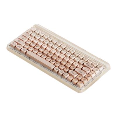 前行者粉底液V75Blush