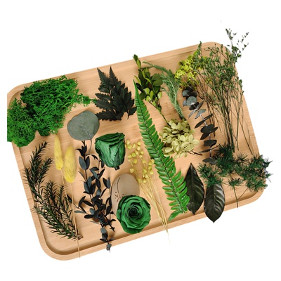 绿色系配材叶果玫瑰绣球苔藓婚礼